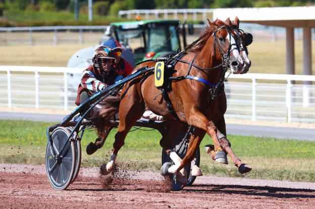 methodes turf et pronostics gagner plus trot plat obstacles | point ...