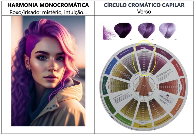 Colorismo Capilar - Otimize seu tempo com mais conhecimento | Cores ...